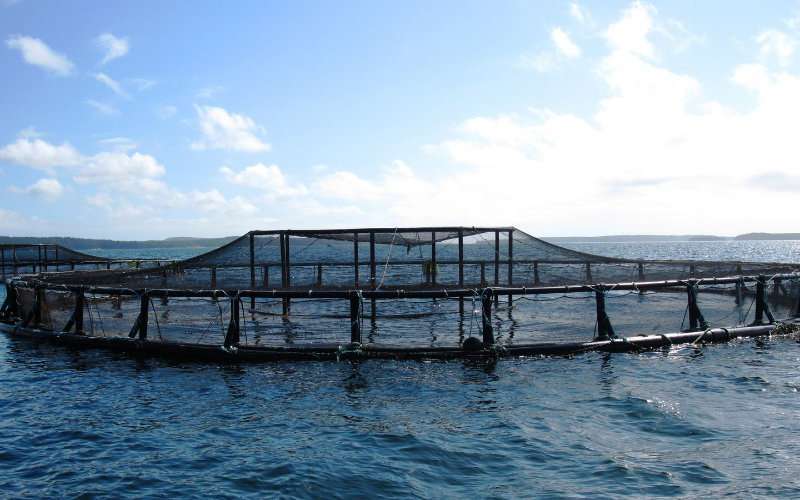 Israël start groot project in Marokkaanse Sahara