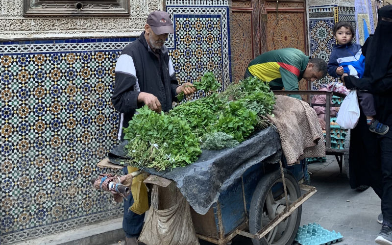 Informele sector in Marokko groeit, overheidsbeleid faalt