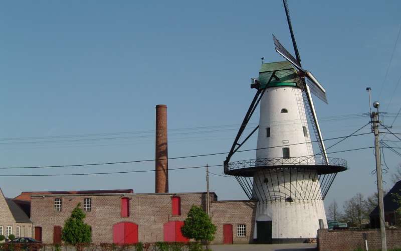 Deerlijk - Nieuws over Deerlijk