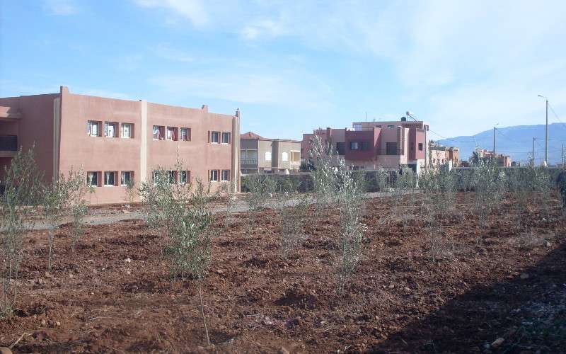 Rhamna - Nieuws over Rhamna