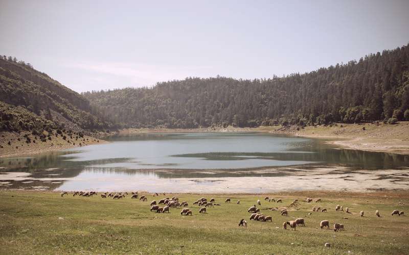 Ajdir - Nieuws over Ajdir